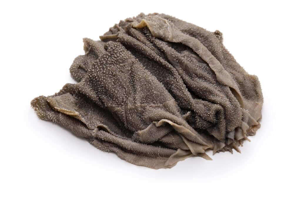 Exporter of Frozen Beef Omasum from Tanzania, India, Brazil, Australia ...